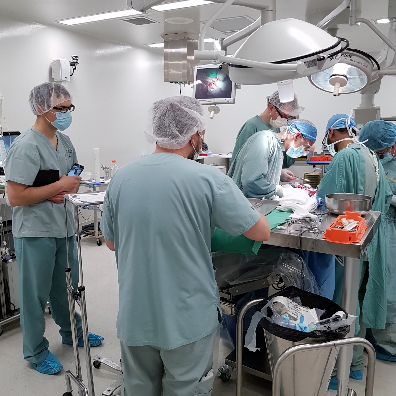 How Procedural Observations Improve Medical | StarFish Medical