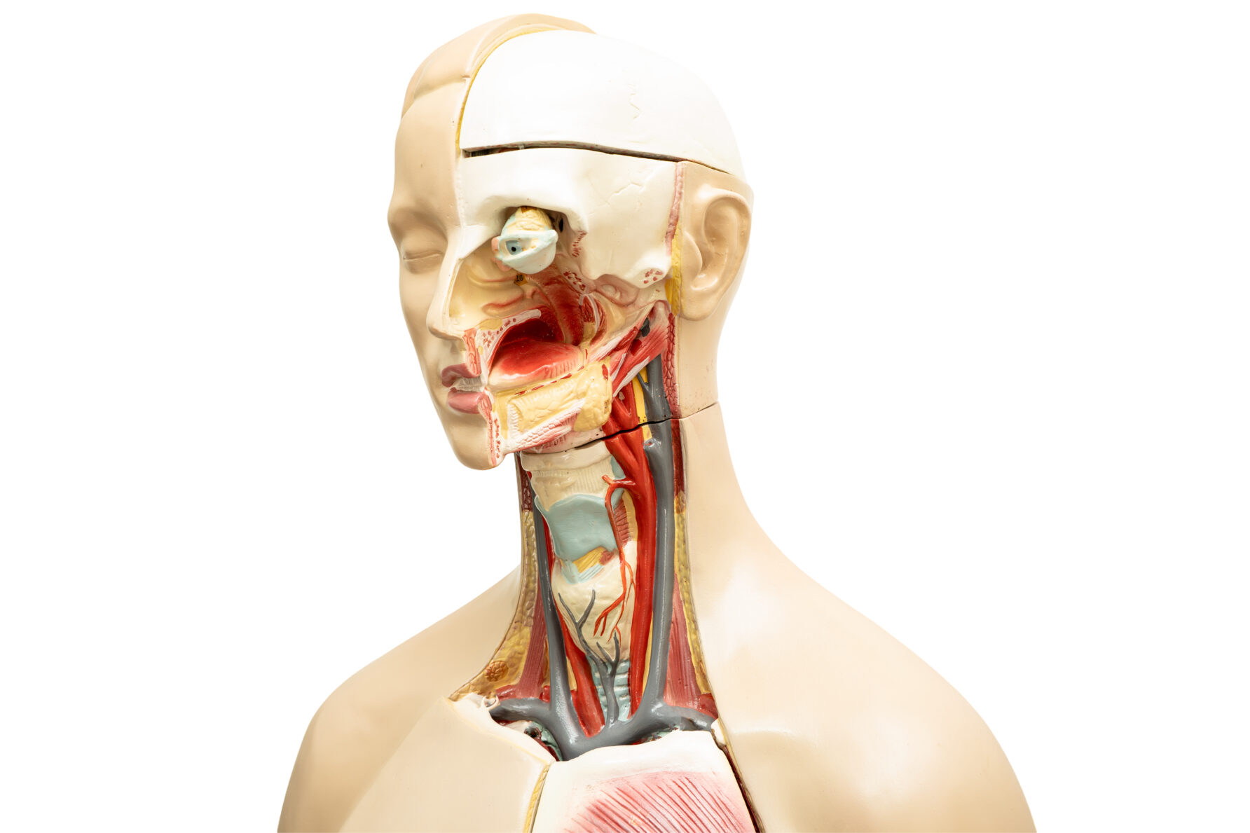 Tissue Simulation: Advances for Next-Gen Medical | StarFish Medical