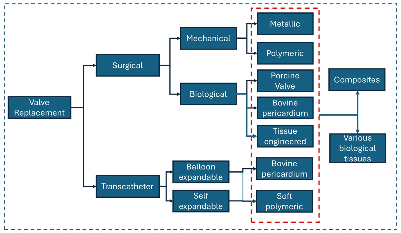 Heart valve simulation shifts the treatment | StarFish Medical